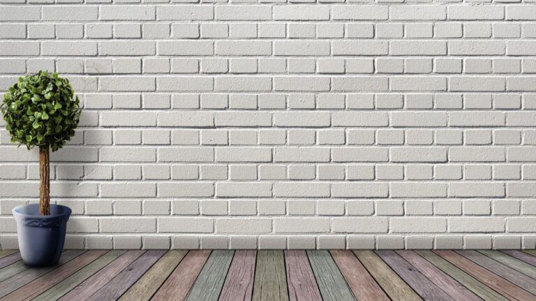 İç Mekan Bitki Türleri Nelerdir? - Türleri İç Mekan Bitki Türleri Nelerdir? - Türleri